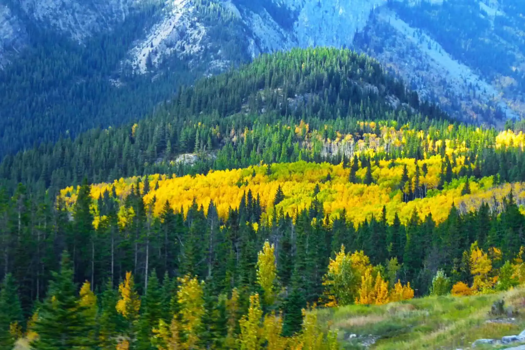 Kananaskis Country - Friends of Kananaskis Country
